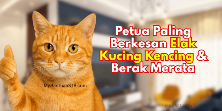 Petua Elak Kucing Kencing & Berak - Mudah Dan Berkesan